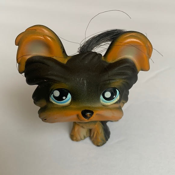 Littlest Pet Shop | Toys | Littlest Pet Shop Black Tan Yorkie 41 With ...